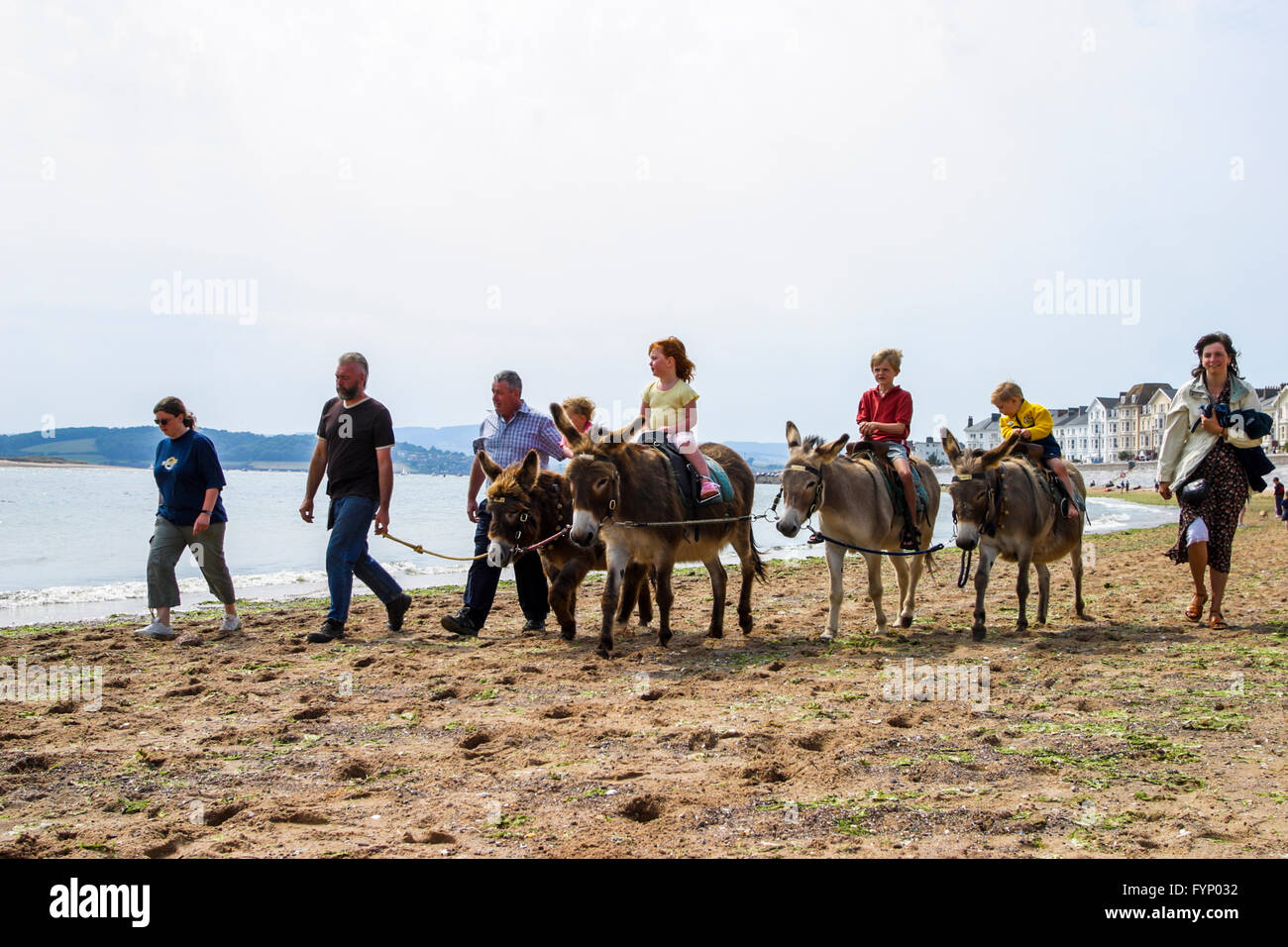 Beach donkey rides hi-res stock photography and images - Alamy