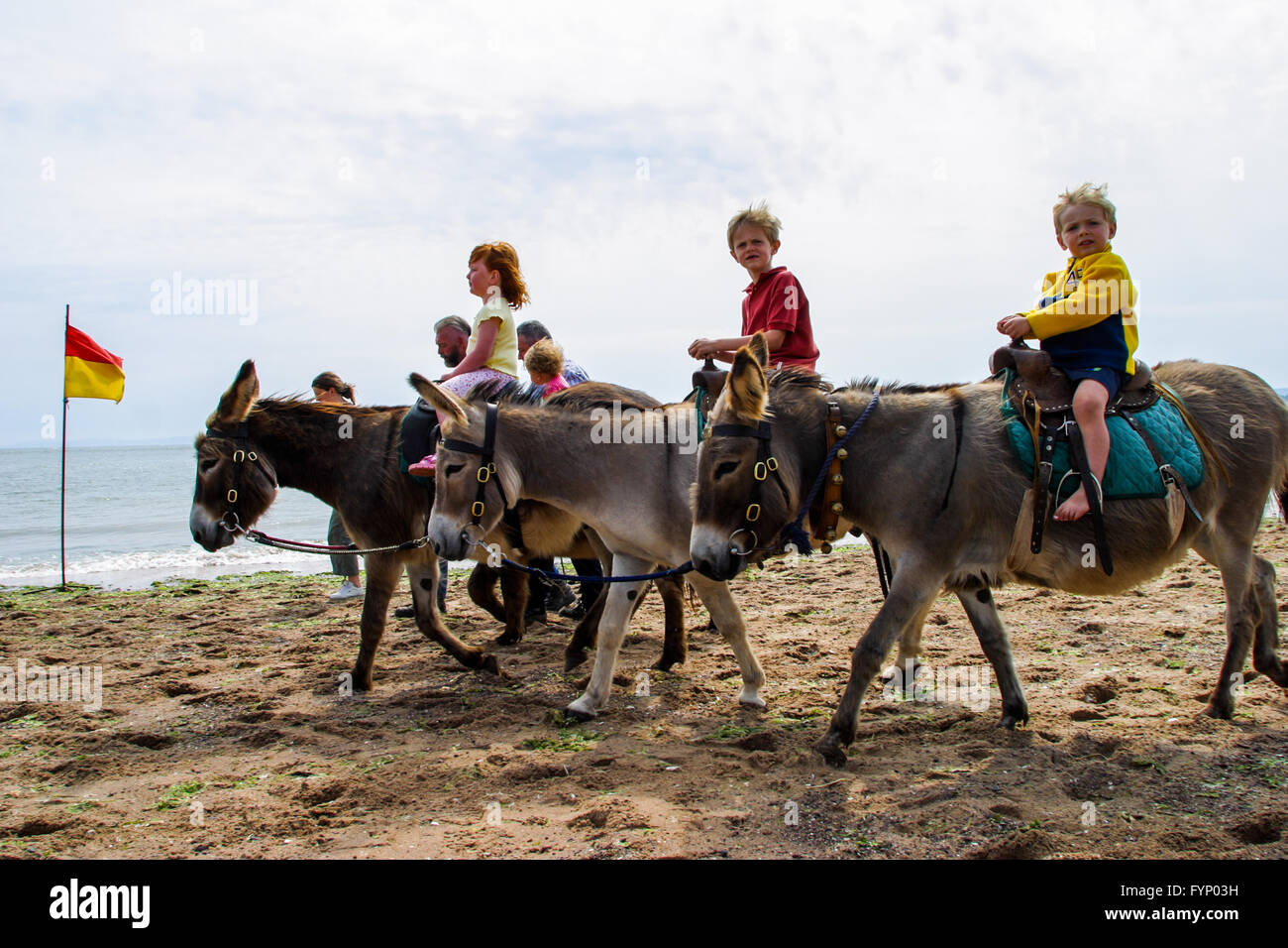 Traditional donkey beach rides hi-res stock photography and images - Alamy