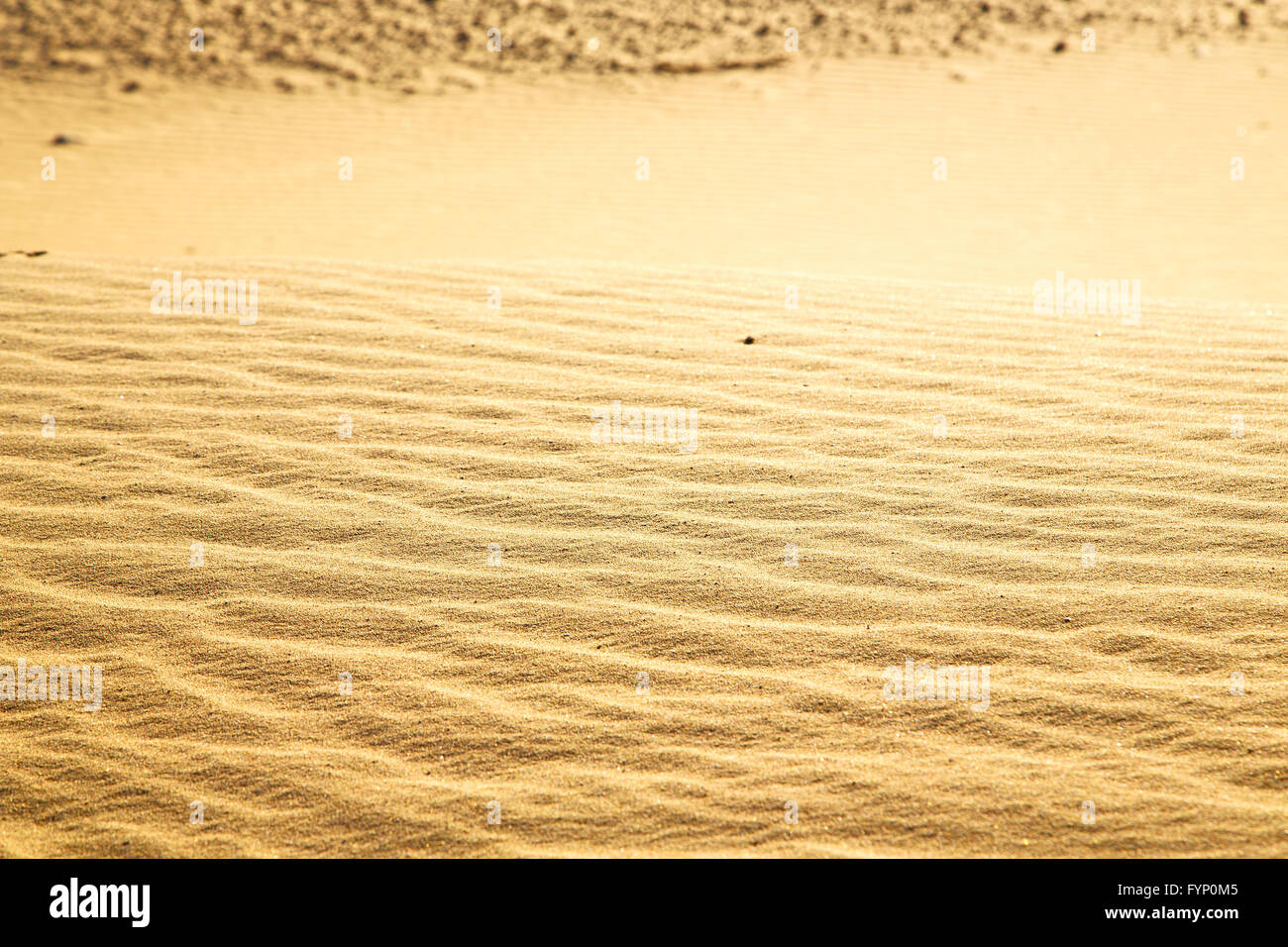 brown dry sand in morocco africa erosion and abstract Stock Photo - Alamy