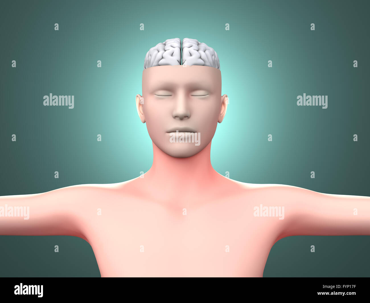 Scientific brain visualization hi-res stock photography and images - Alamy