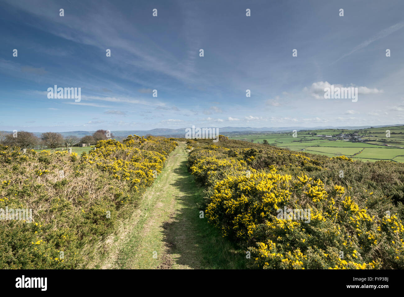 Mynydd y Gaer Hilltop fort near Llannefydd Denbighshire North Wales ...