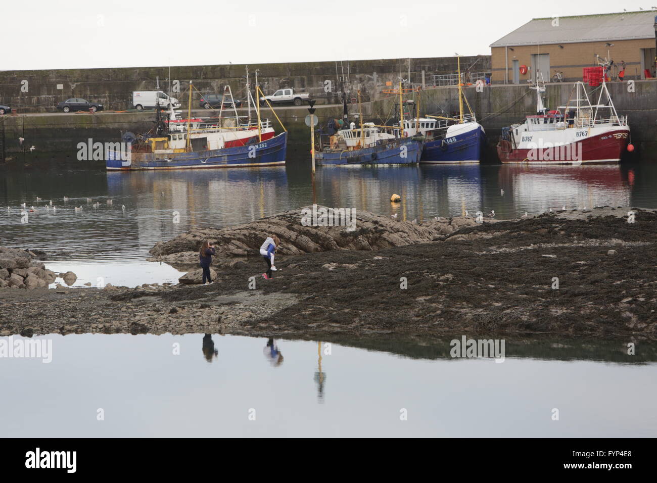 Ardglass castle hi-res stock photography and images - Alamy