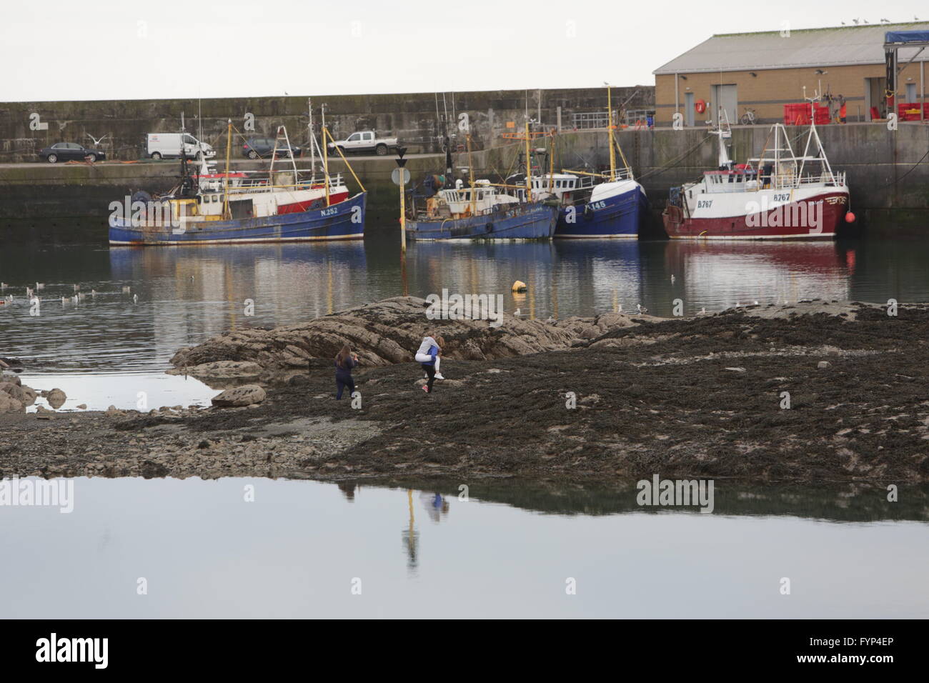 Ardglass castle hi-res stock photography and images - Alamy