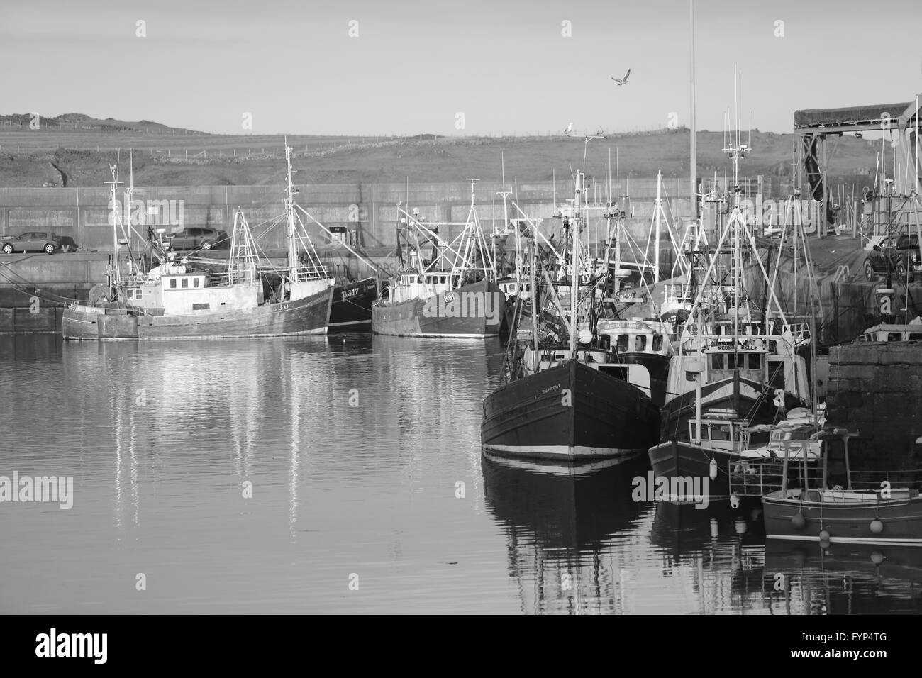 Ardglass fishing Black and White Stock Photos & Images - Alamy