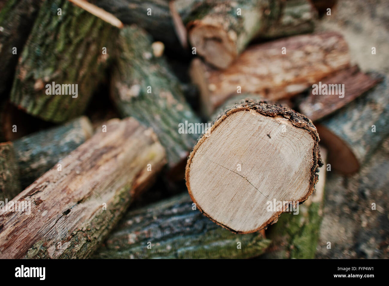 Axed tree hi-res stock photography and images - Alamy