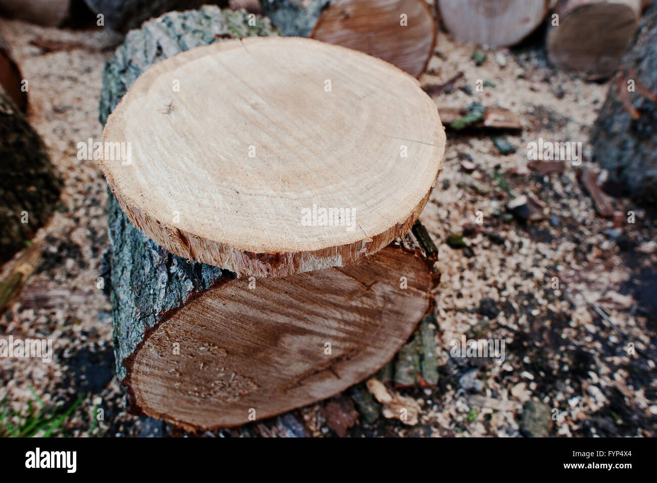 A pile of chopped wood, sawn wood Stock Photo - Alamy
