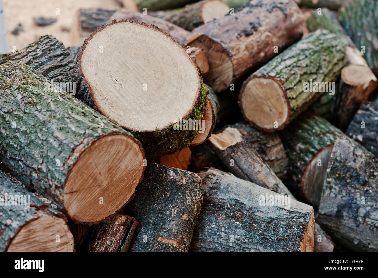 A pile of chopped wood, sawn wood Stock Photo - Alamy