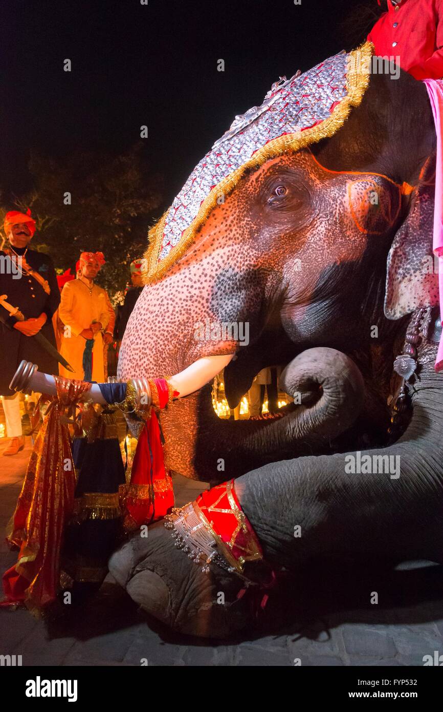 Indian wedding and elephant hi-res stock photography and images - Alamy