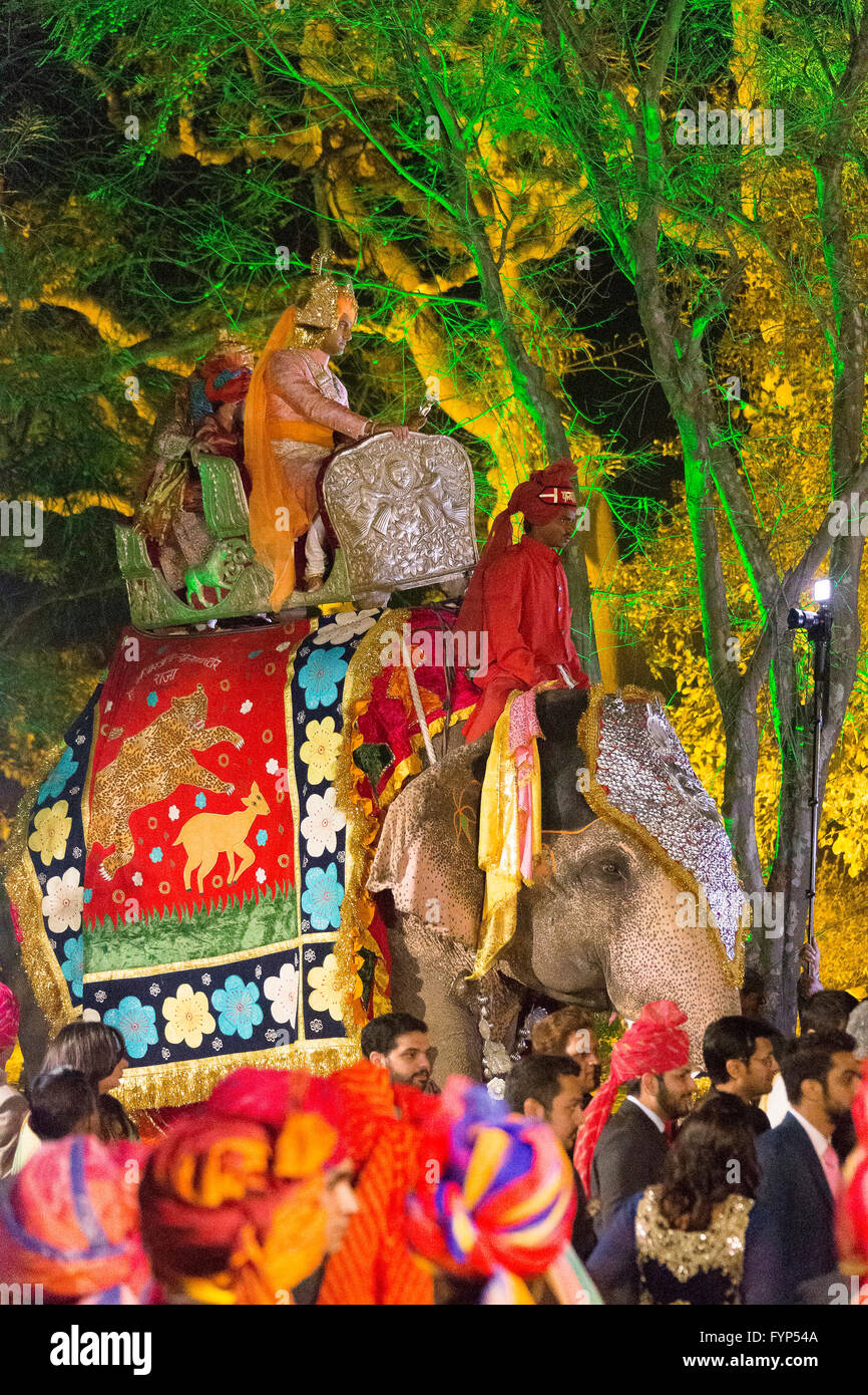 Indian wedding and elephant hi-res stock photography and images - Alamy