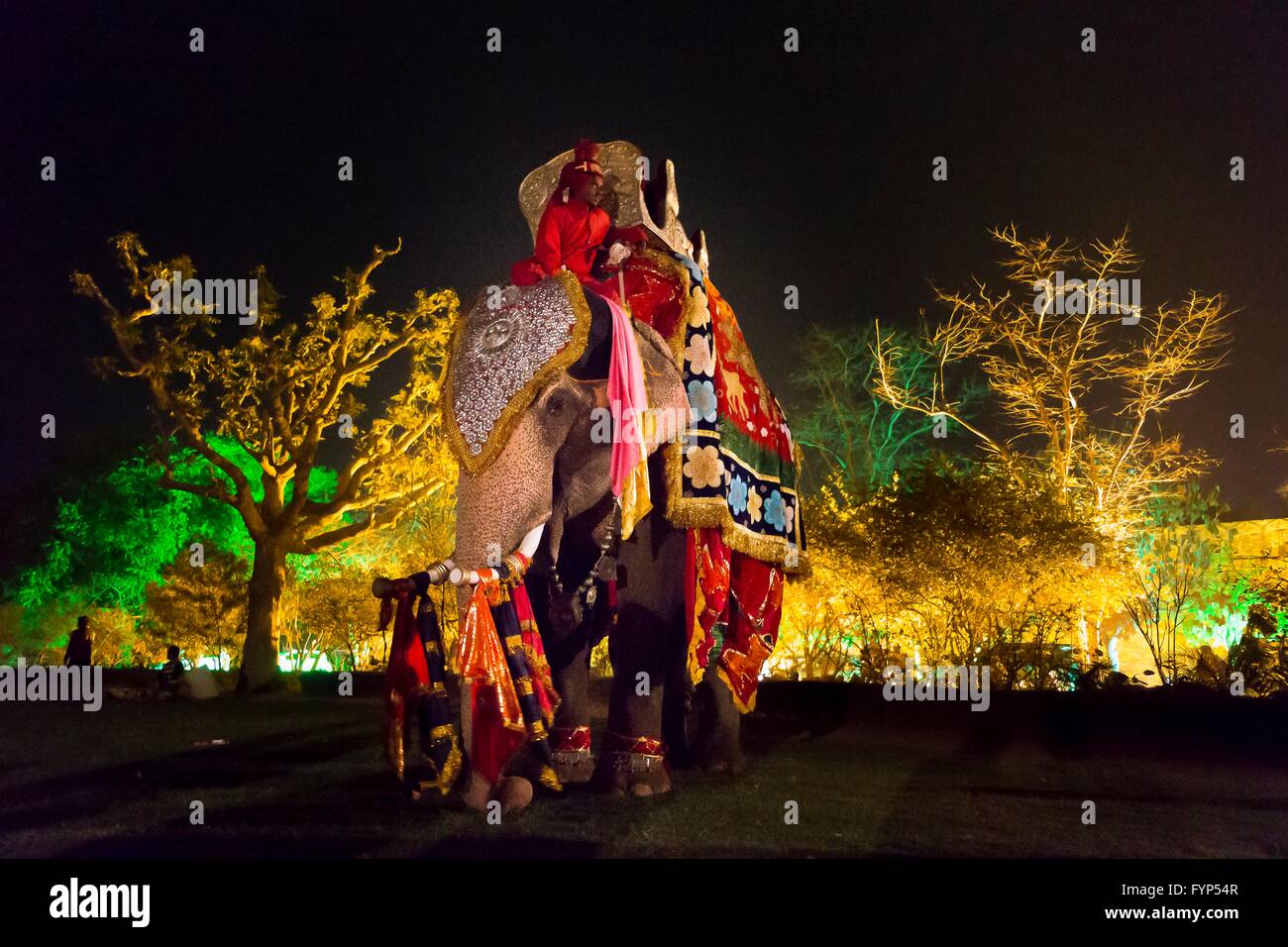 Wedding elephant hi-res stock photography and images - Alamy