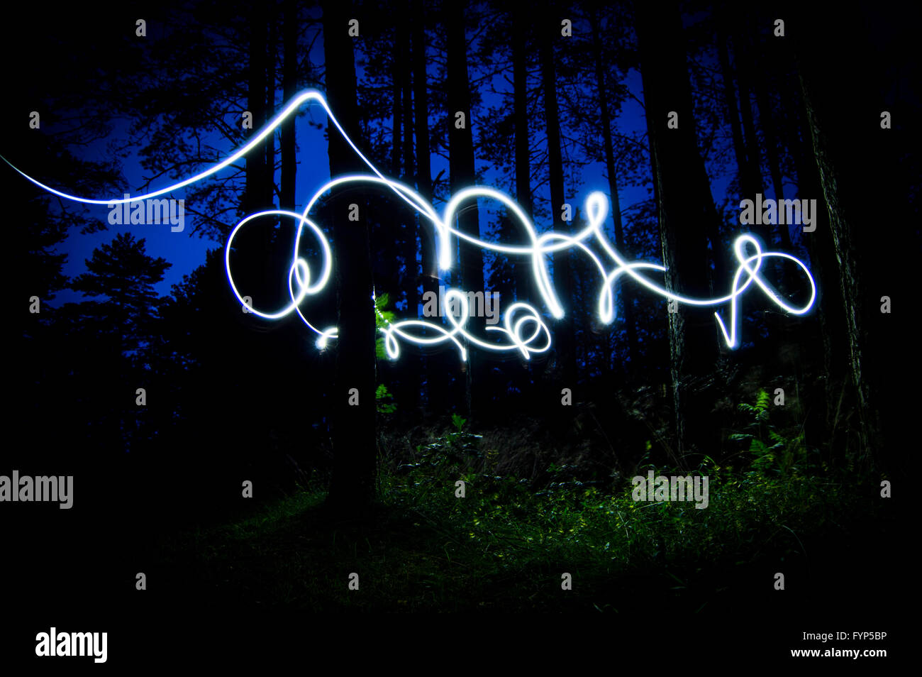 Lightpainting in the forest Stock Photo - Alamy