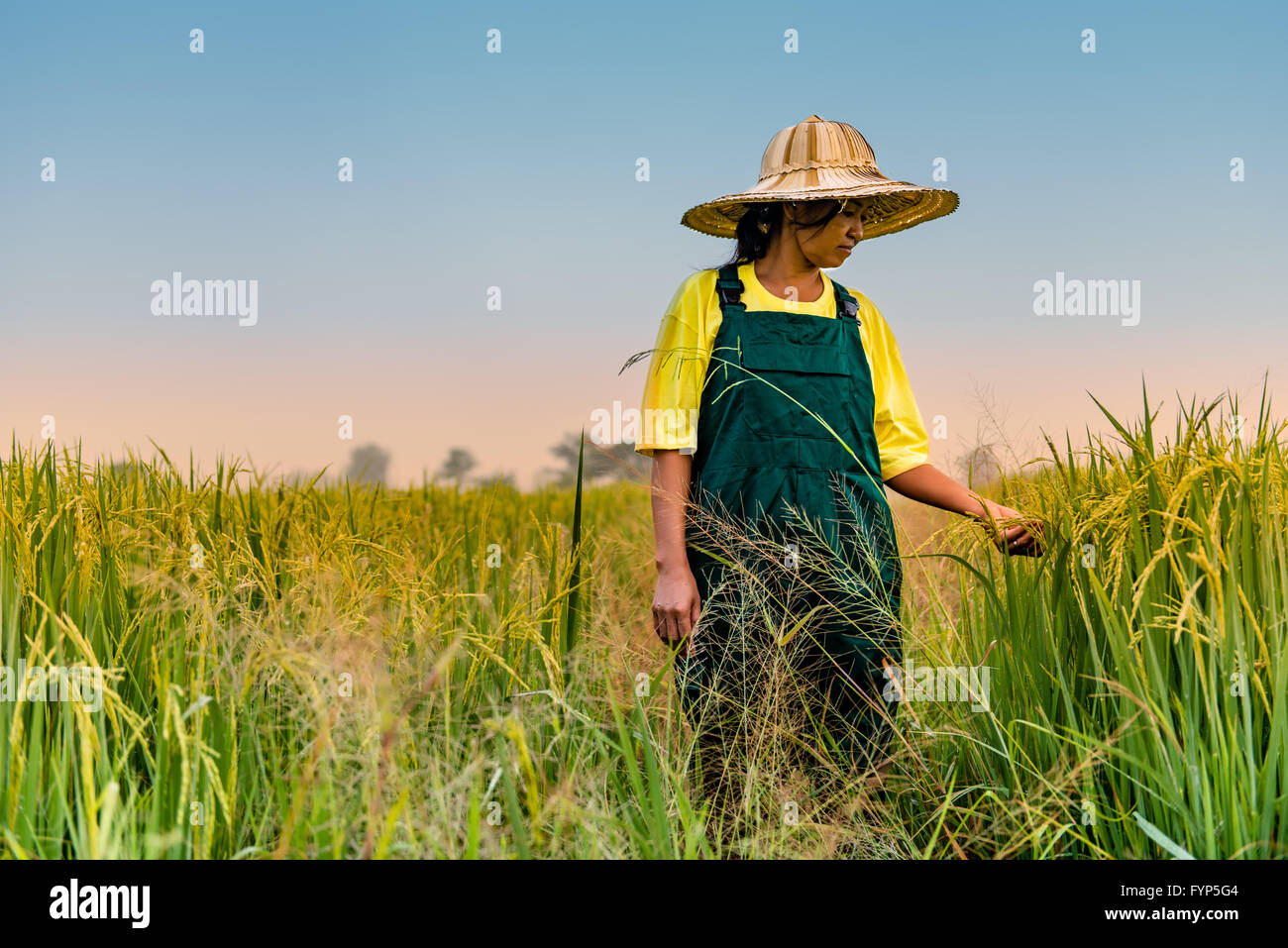 Country farmer woman sky hi-res stock photography and images - Alamy