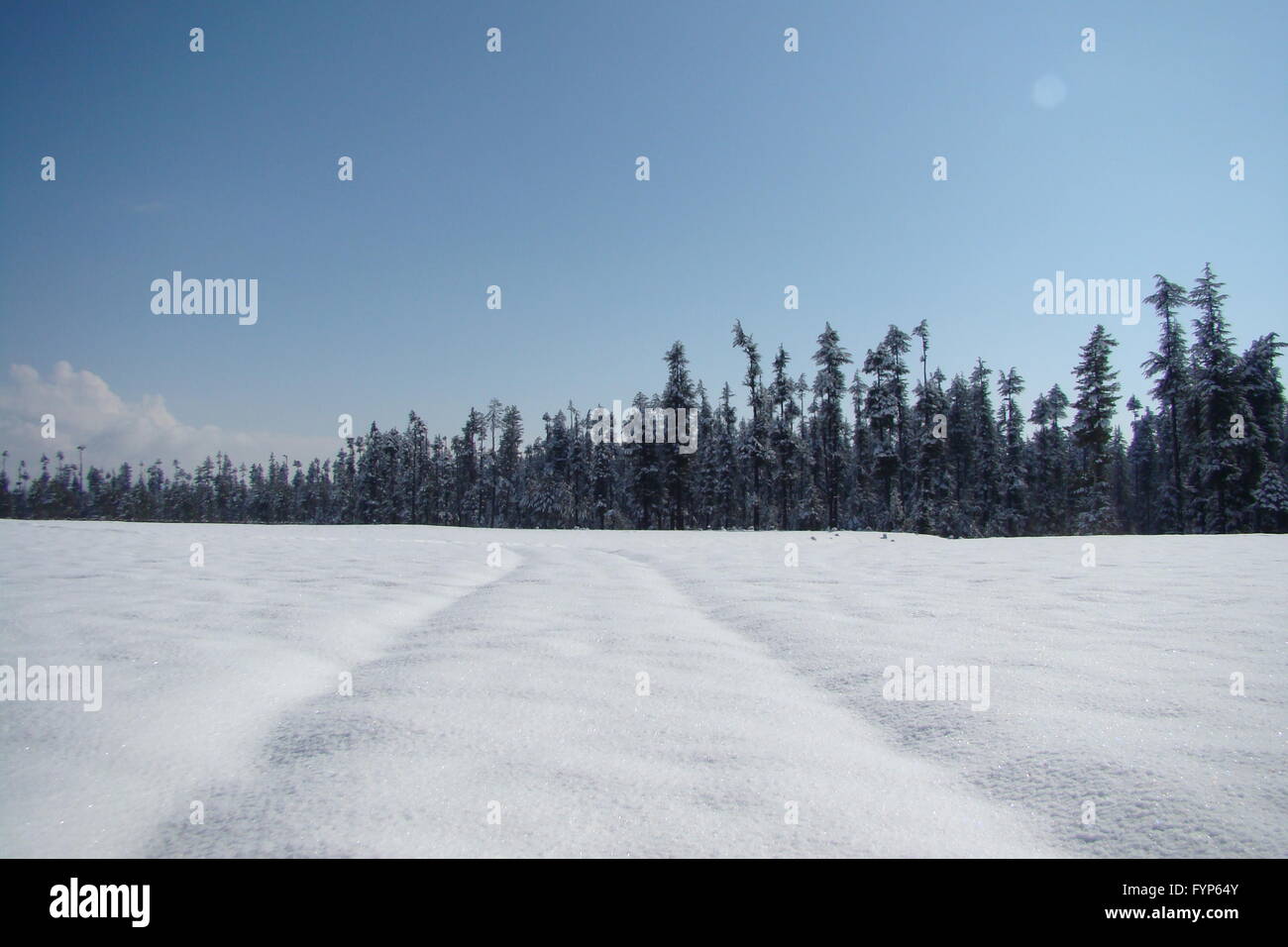Landscape - Winter - Jammu & Kashmir - India Stock Photo - Alamy