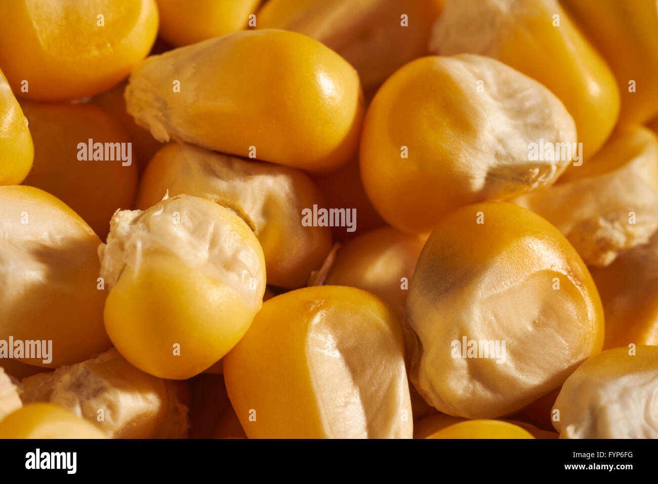 Native american navajo hi-res stock photography and images - Alamy