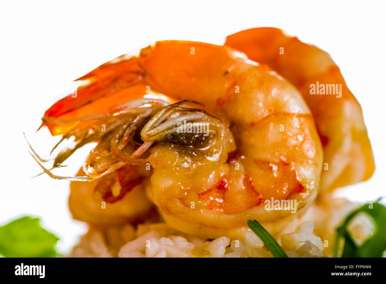 Thai parsley hi-res stock photography and images - Alamy