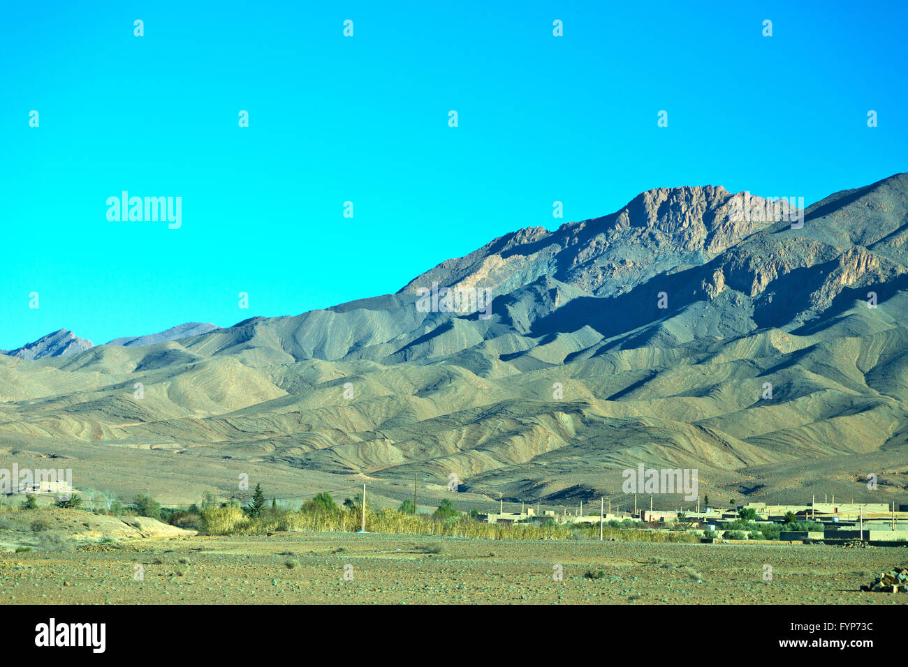 bush in morocco africa the atlas dry mountain Stock Photo - Alamy