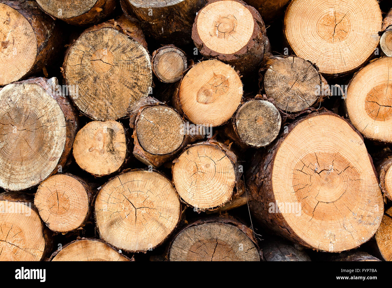 Woodstack hi-res stock photography and images - Alamy