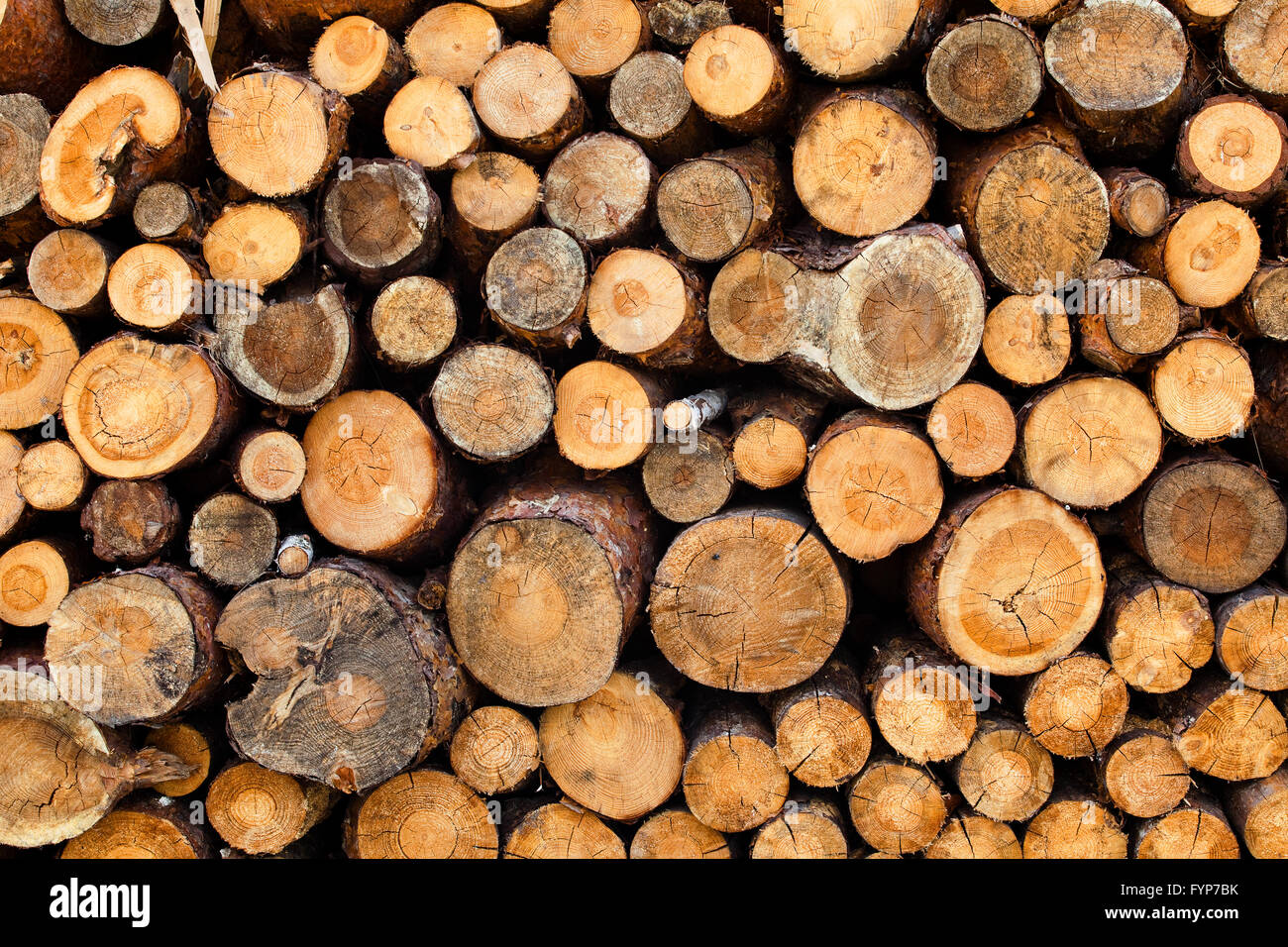 Woodstacks hi-res stock photography and images - Alamy