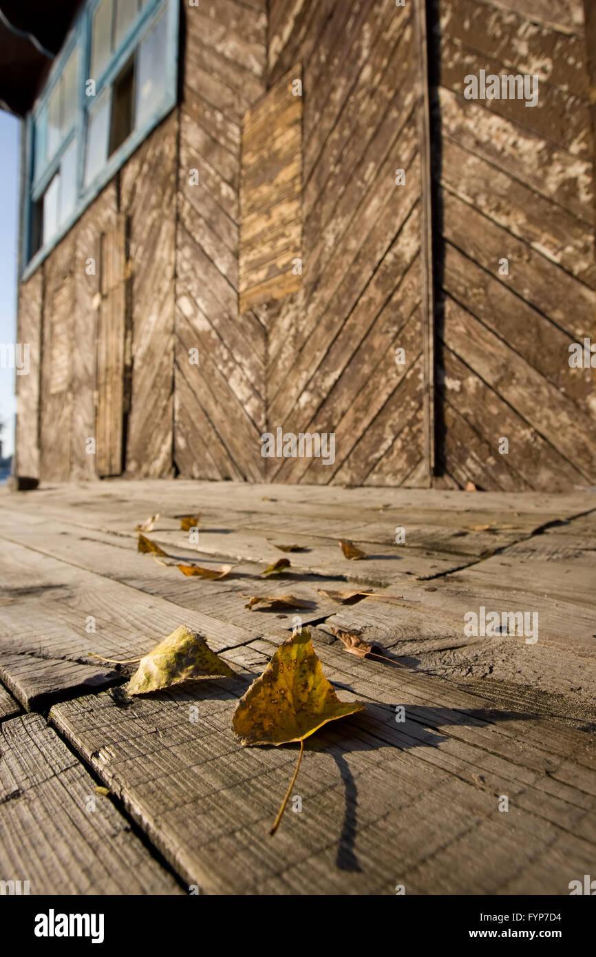 Leafs falling hi-res stock photography and images - Alamy