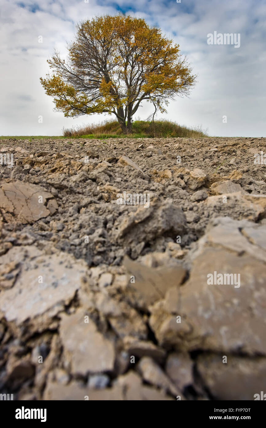 Tree and plough hi-res stock photography and images - Alamy