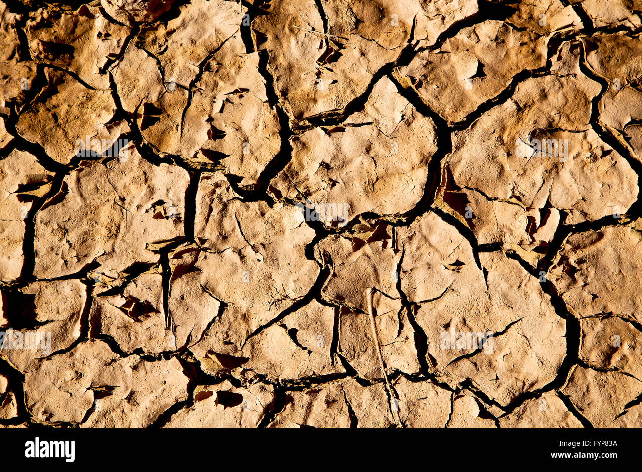 cracked sand in morocco Stock Photo - Alamy