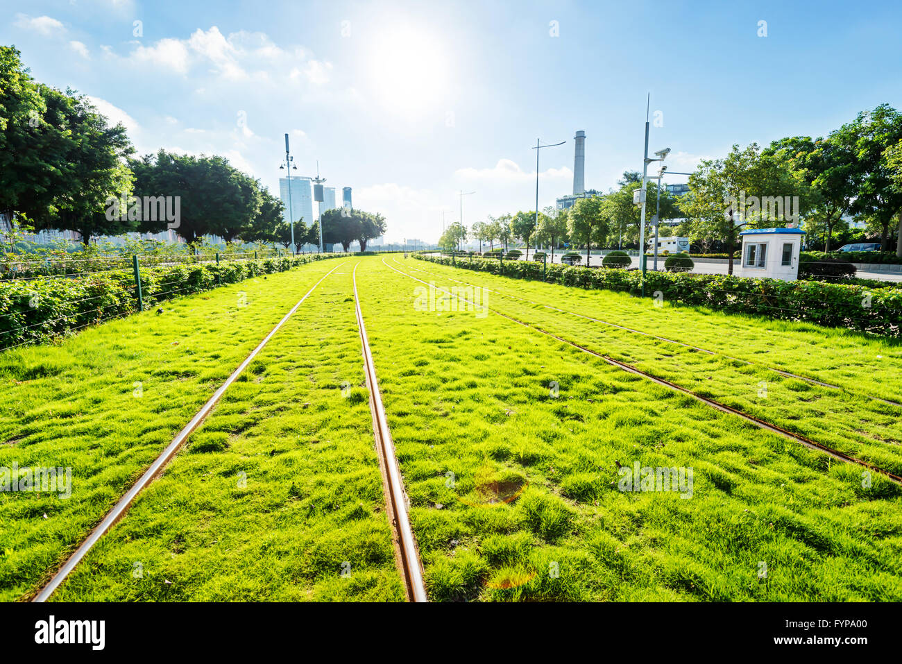 railways along with trees and greenland Stock Photo - Alamy