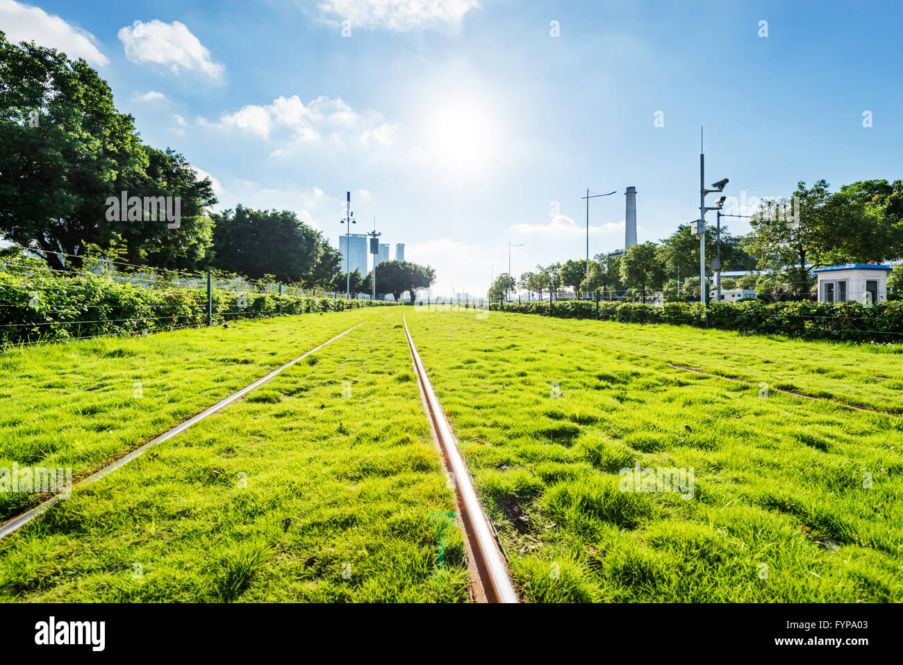 railways along with trees and greenland Stock Photo - Alamy