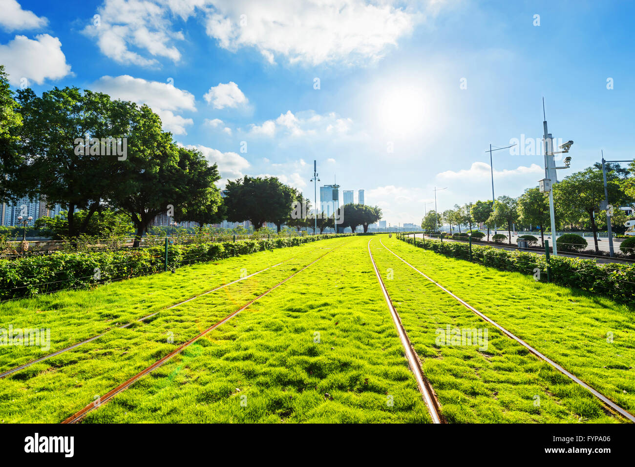 railways along with trees and greenland Stock Photo - Alamy