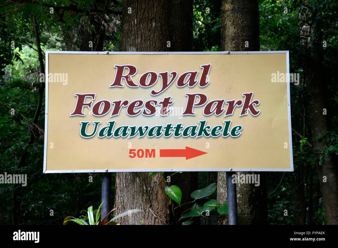 Royal forest park udawattakele hi-res stock photography and images - Alamy