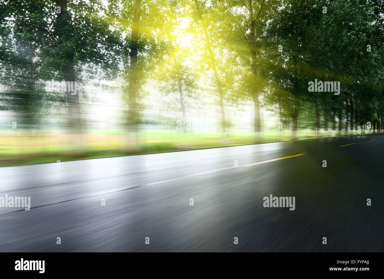 asphalt road with tree lawns under sunshine Stock Photo - Alamy