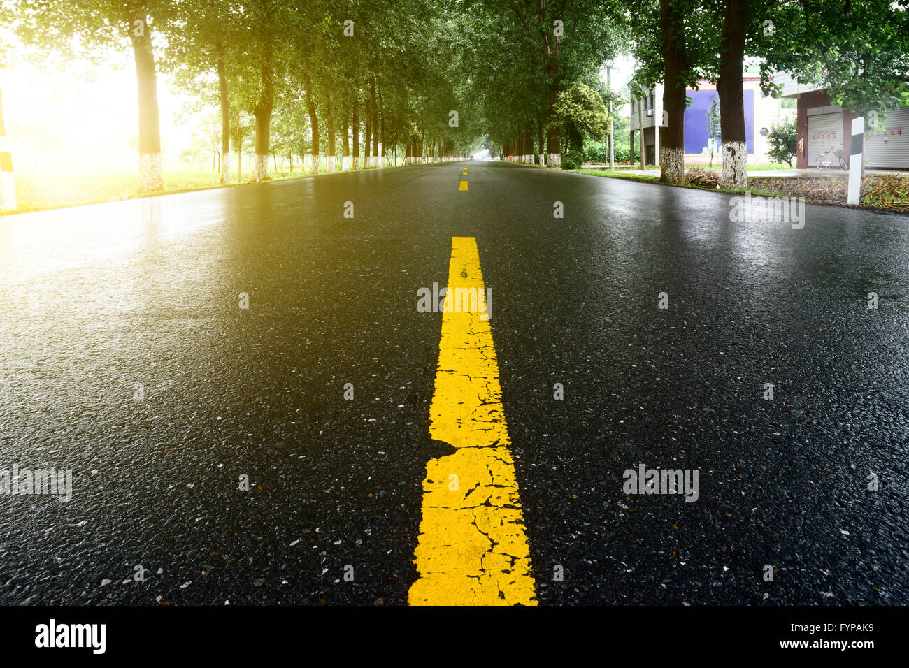 asphalt road with tree lawns under sunshine Stock Photo - Alamy