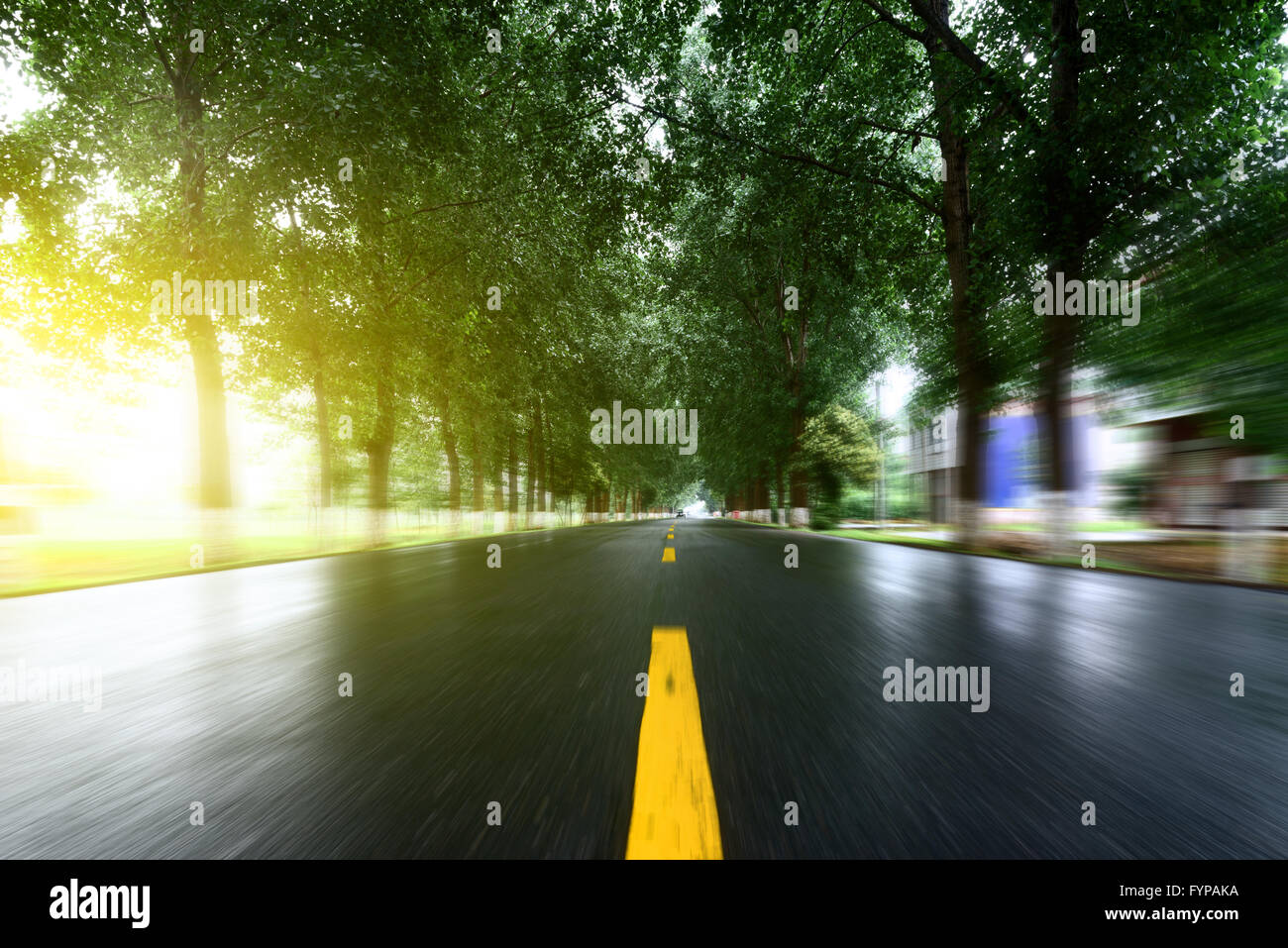 Asphalt road under tree hi-res stock photography and images - Alamy