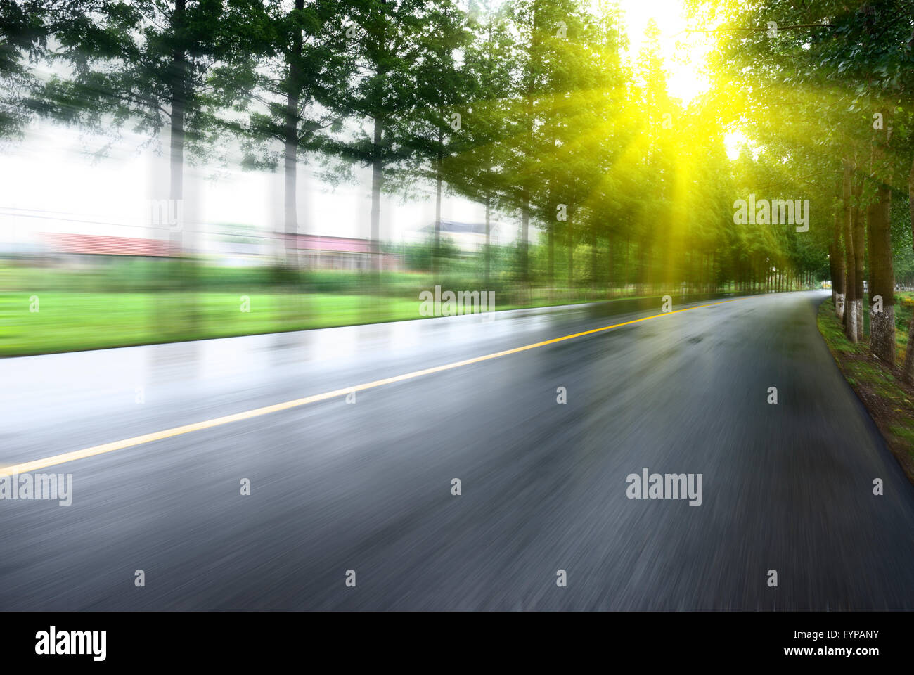 asphalt road with tree lawns under sunshine Stock Photo - Alamy