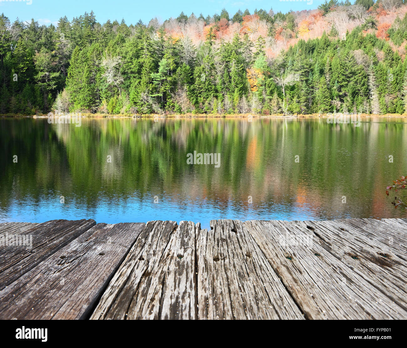 Pond in White Mountain National Forest, New Hampshire Stock Photo - Alamy