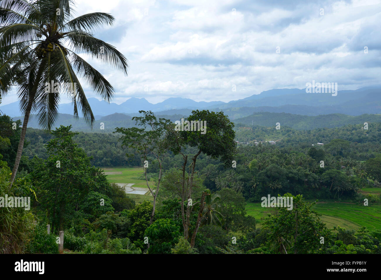 Landschaft, Matale, Sri Lanka Stock Photo - Alamy