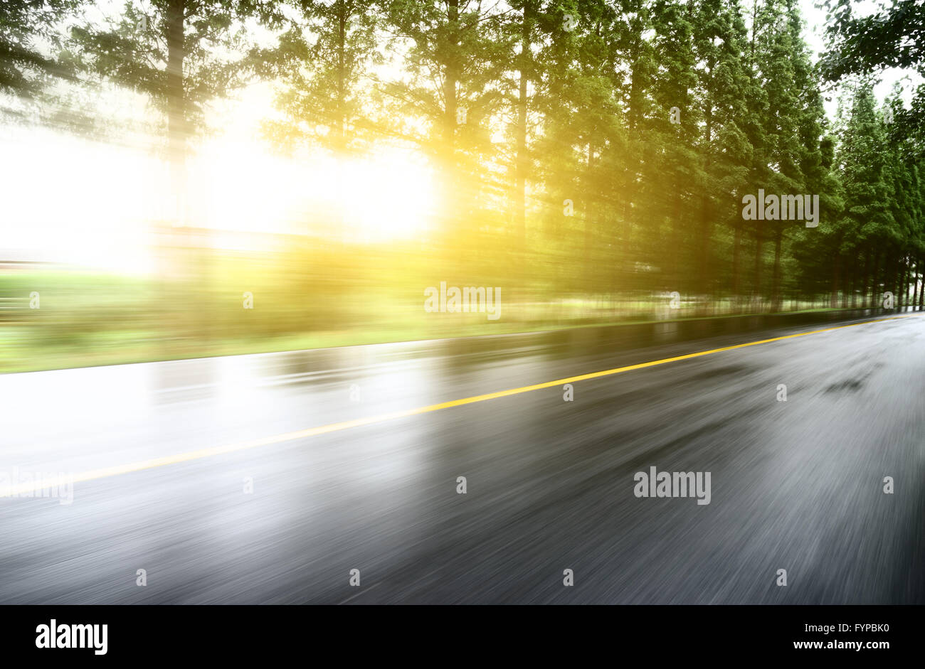 asphalt road with tree lawns under sunshine Stock Photo - Alamy