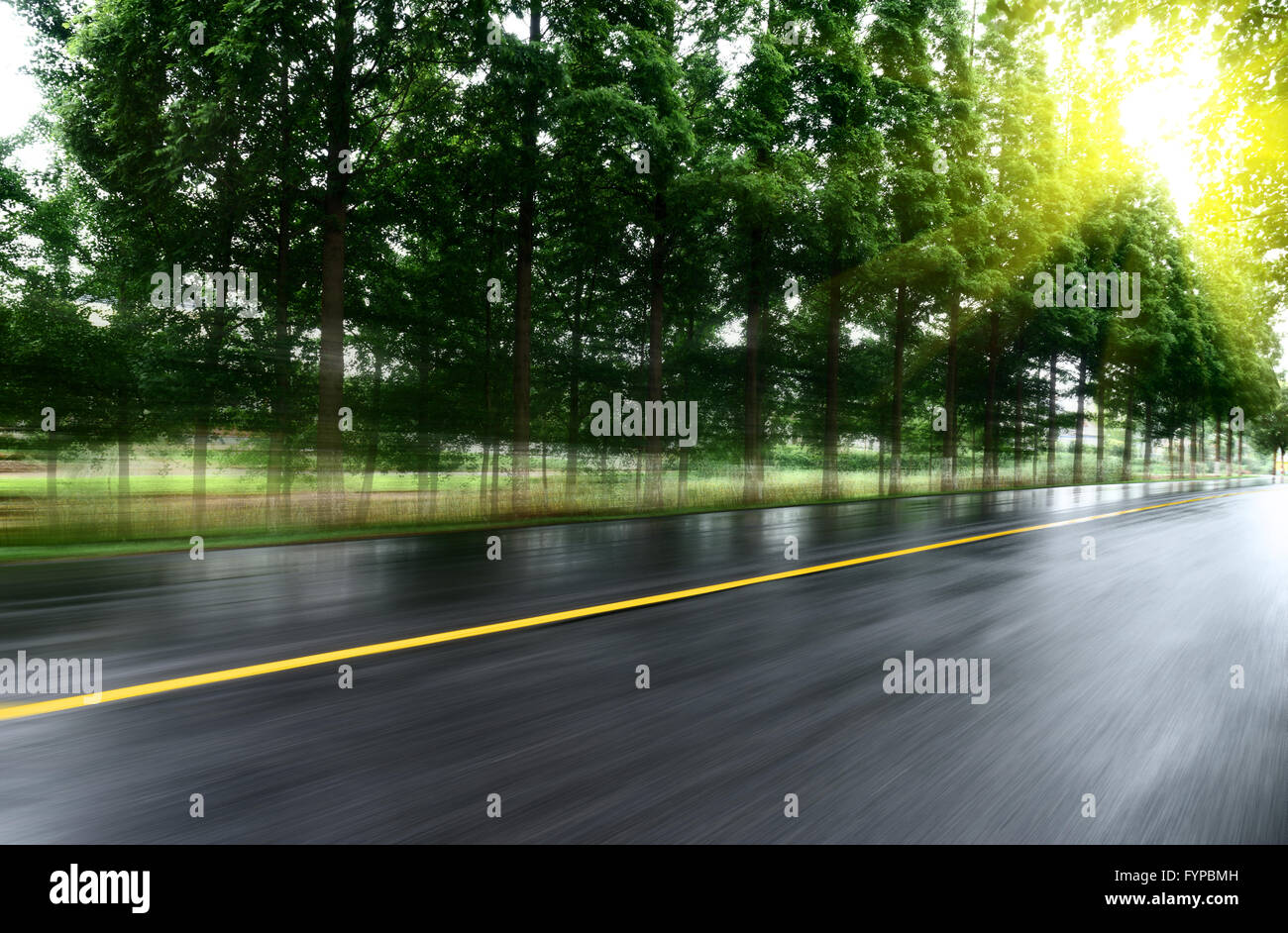 Asphalt road tree lawns hi-res stock photography and images - Alamy