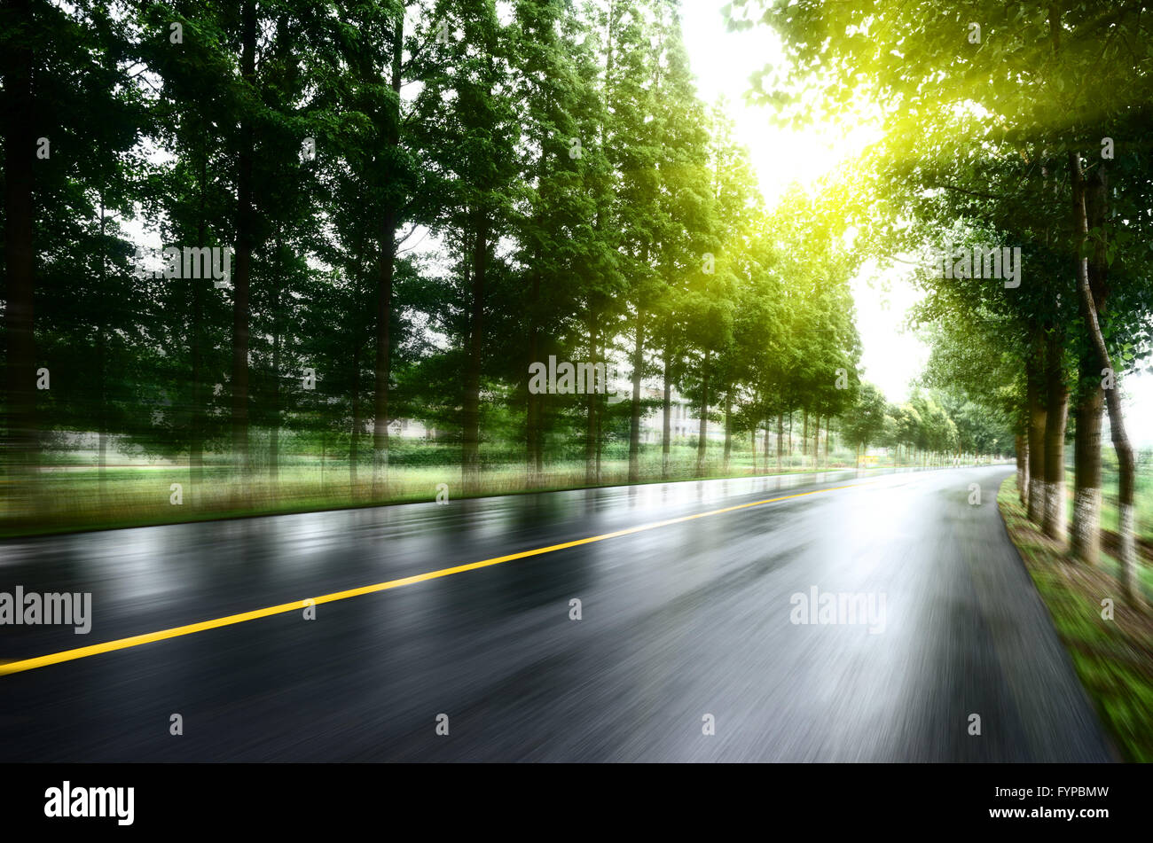 Tree line road sunshine hi-res stock photography and images - Alamy