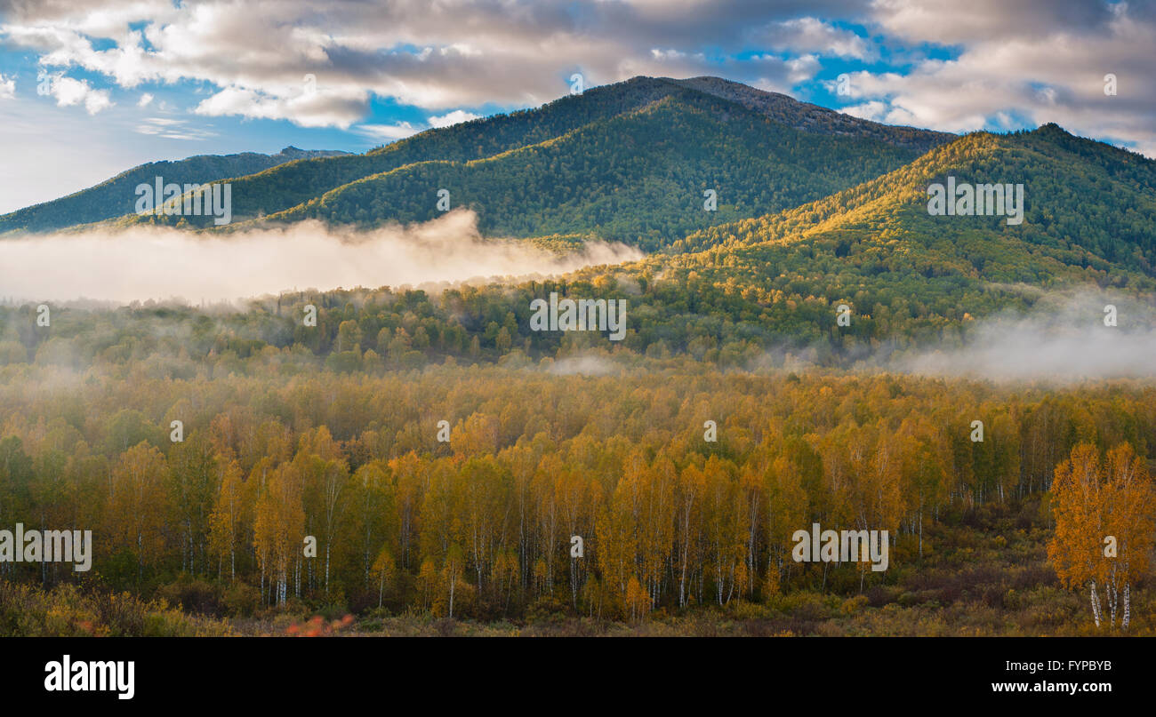 sunrise in taiga Stock Photo - Alamy