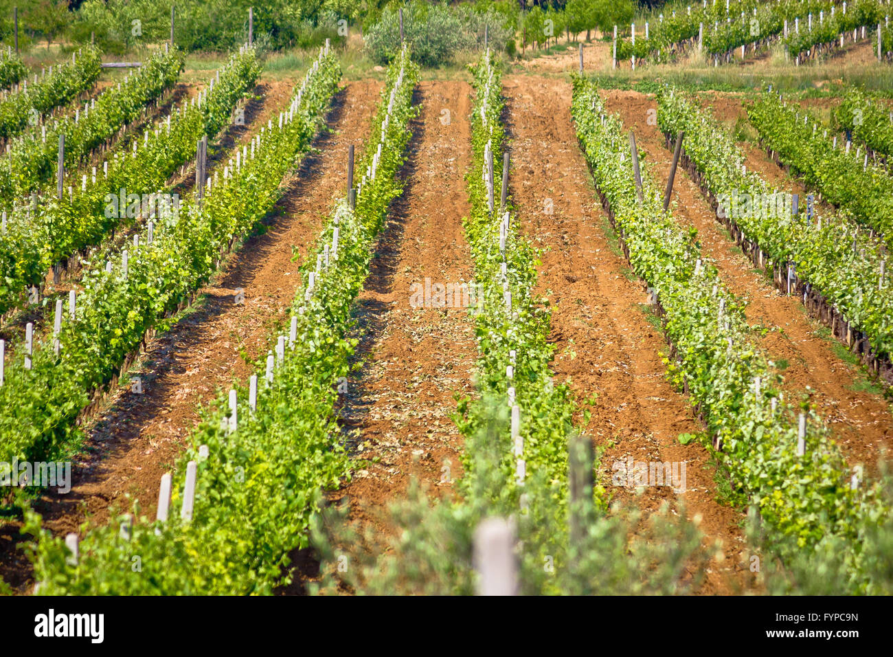 Red view hi-res stock photography and images - Alamy