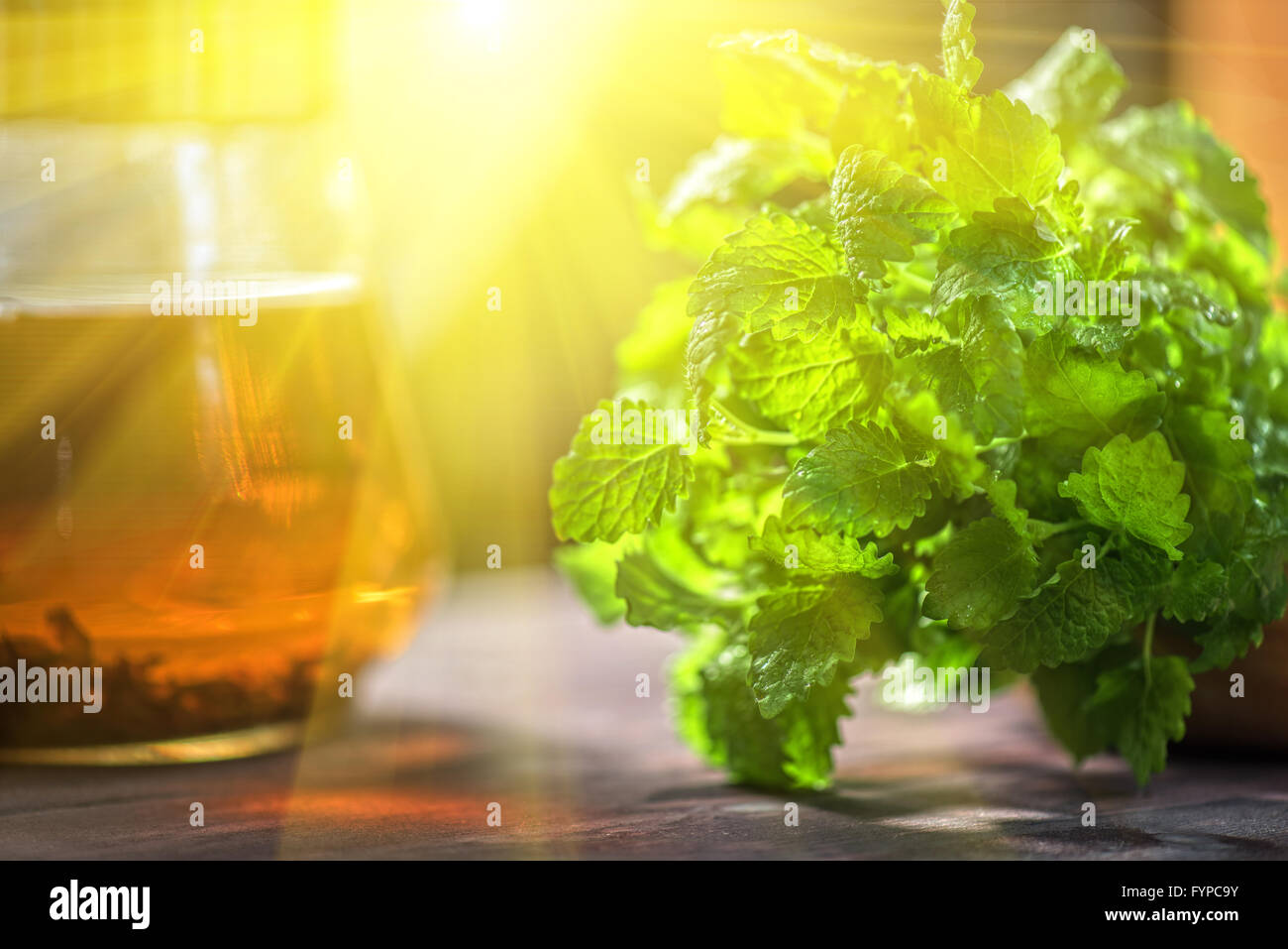 Melissa tea hi-res stock photography and images - Alamy