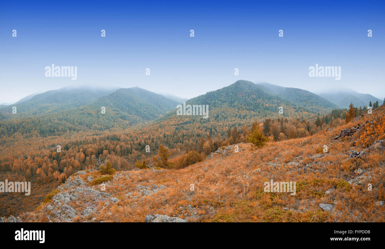 taiga and mountains Stock Photo - Alamy