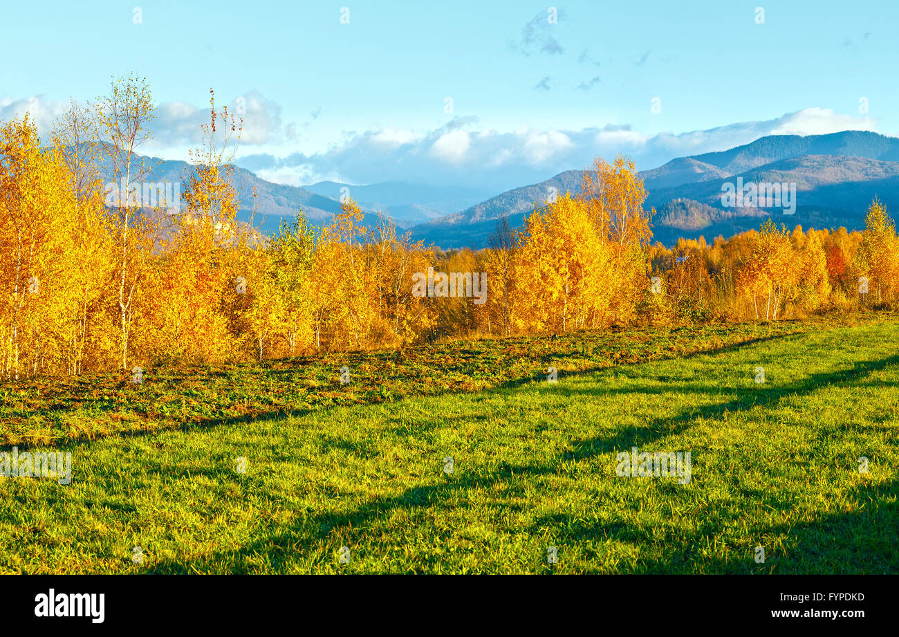 Morning Carpathian mountain autumn view Stock Photo - Alamy