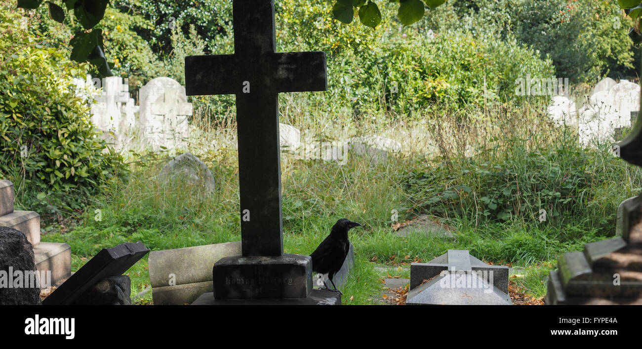 Tombs and crosses at goth cemetery Stock Photo - Alamy
