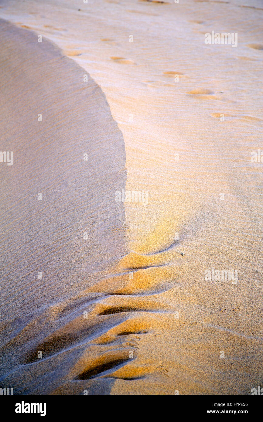brown sand dune desert Stock Photo - Alamy