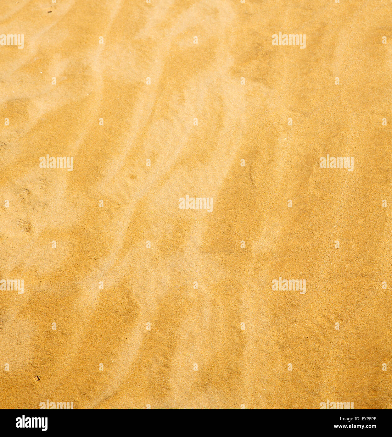 the brown sand dune in the sahara morocco desert Stock Photo - Alamy