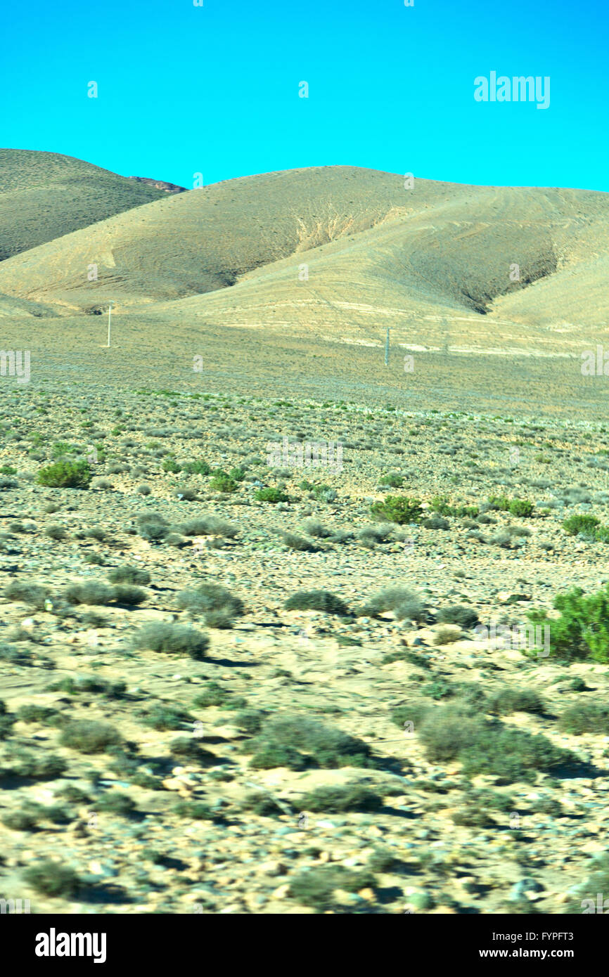 brown bush in valley morocco africa the Stock Photo - Alamy