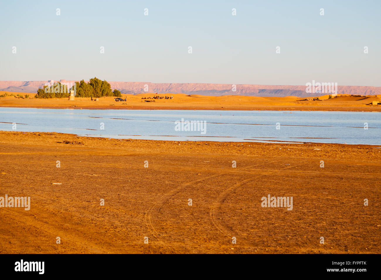 sunshine in the lake yellow sand and dune Stock Photo - Alamy