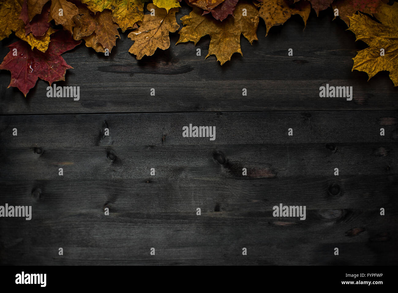 Wood autumn background Stock Photo - Alamy