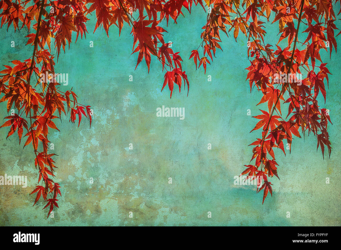 grunge background with autumn leaves Stock Photo - Alamy